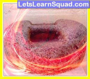 The Great Gama Pehalwan Biography In Hindi - गामा पहलवान » Lets Learn Squad